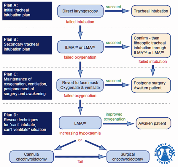 RRH: Rural and Remote Health article: 2127 - Access to difficult airway ...